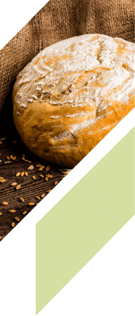 Η Εταιρεία - Bread Factory